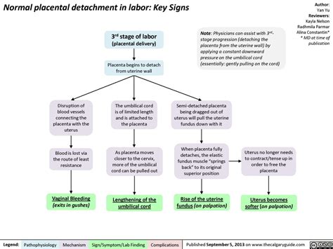 Normal Signs Of Placental Detachment Calgary Guide