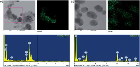 Elemental Mapping And Edx Spectrum Of Silver Nanoparticles A And Gold