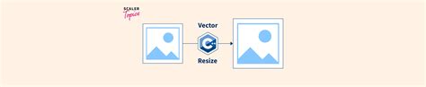 C Vector Resize Function Scaler Topics C Vector Resize Function Scaler Topics