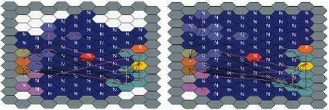 Successive Stages In The Developmental Growth Of The Stochastic Neural Download Scientific