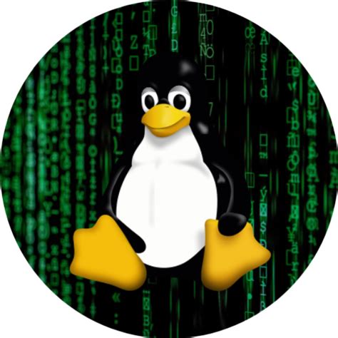 Dicas L Educação Treinamentos Sobre Programação Com Ferramentas Livres