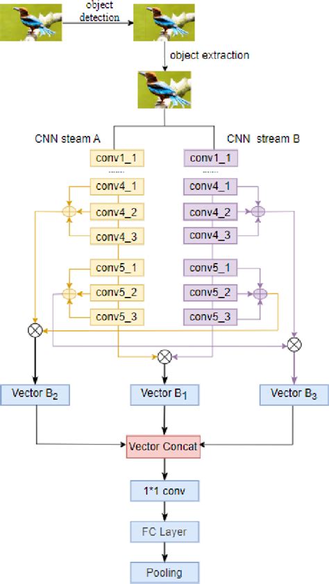 Figure 3 From A Fine Grained Image Classification Method Combining Yolov7 And Bilinear Multi