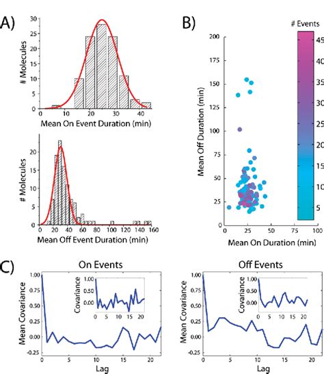 Figure 3 From Single Molecule Imaging Of An In Vitro Evolved Rna Aptamer Reveals Homogeneous