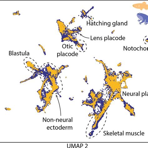 Michael Elowitz California Institute Of Technology Ca Cit Division Of Biology Research
