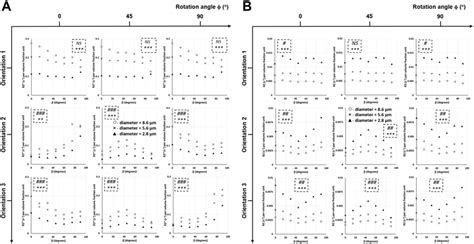 Vessel Size Effect On R2 And R2 Relationship With The Bifurcation Download Scientific Diagram