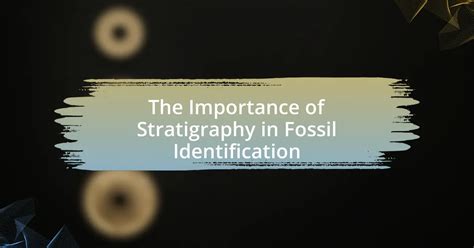 A Beginners Guide To Identifying Dinosaur Fossils Allendale