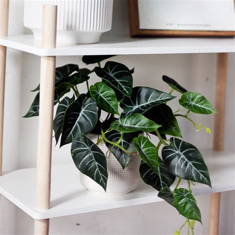 Cây Lá Môn Sọc Mini để Bàn Cây Cảnh Giả Trang Trí