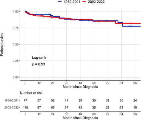 Crude Patients Survival Kaplan Meier Estimator During The Period