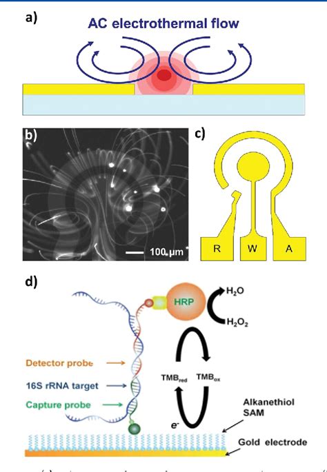 Figure 1 From In Situ Electrokinetic Enhancement For Self Assembled Monolayer Based