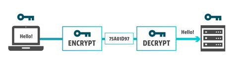 Tutorial Crack Password Md5 Developer Gaptek