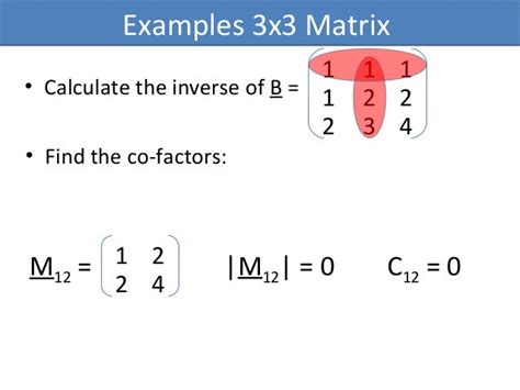 Co Factor Matrix