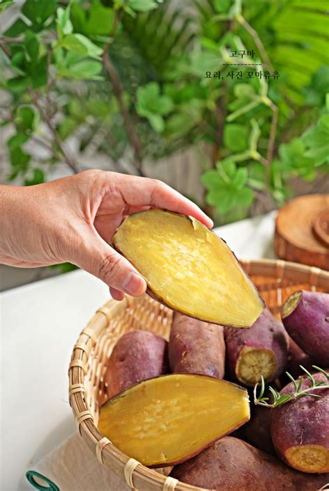 밤 고구마 찌는법 찌는 시간 꿀 고구마 삶는법 삶는 시간 칼로리 냄비 고구마찌기 찐고구마 네이버 블로그