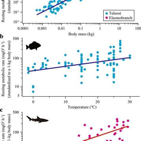 Contrasting Diversity Of Marine Teleosts And Elasmobranchs At High Download Scientific Diagram