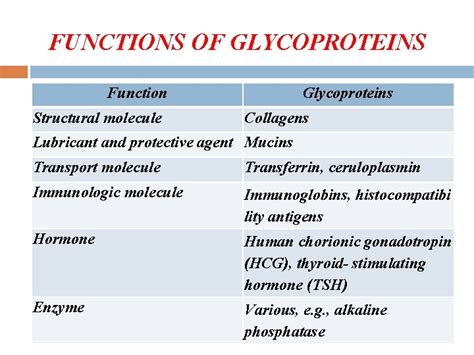 Introduction Glycobiology Is The Study Of The Roles
