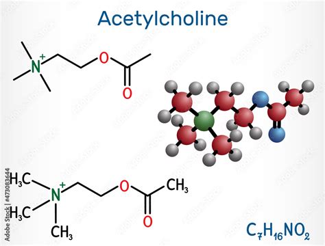 Acetylcholine Ach Molecule It Is Parasympathomimetic Neurotransmitter