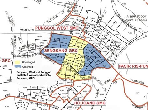 Wp Reveals Sengkang Grc Teams Designated Wards Jamus Lim Will Serve Anchorvale