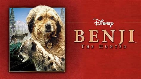 Benji The Hunted 1987