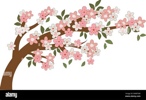 Tree Branch With Flowers Stock Vector Image Art Alamy