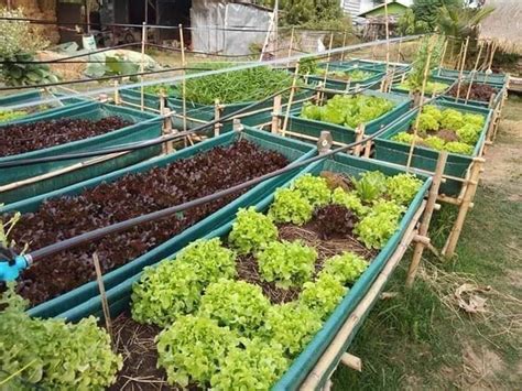 Maew Mesuan อุปกรณ์ทำสวน ถาดเพาะ กระบะปลูกผัก ถุงปลูก ชั้นวางผัก Maew Mesuan อุปกรณ์ทำสวน