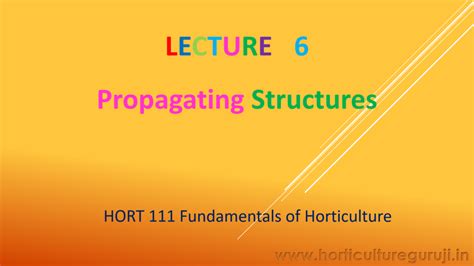 Propagating Structures Ppt Horticulture Guruji