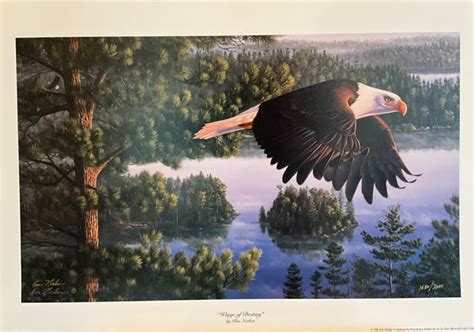 Kim Norlien Wings Of Destiny Print Collectors Art And Photography