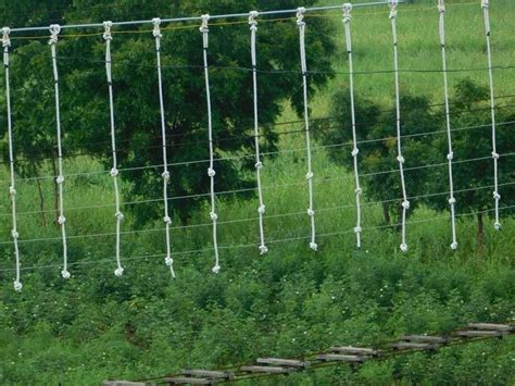 Rope Course Adventure Activities At Rs 75000 Pack In Nagpur Id