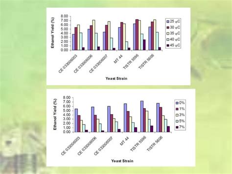 Strain Improvement Pptx