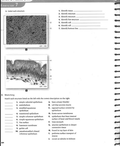 solved exercise 2 label each structure 1 identify tissue 2