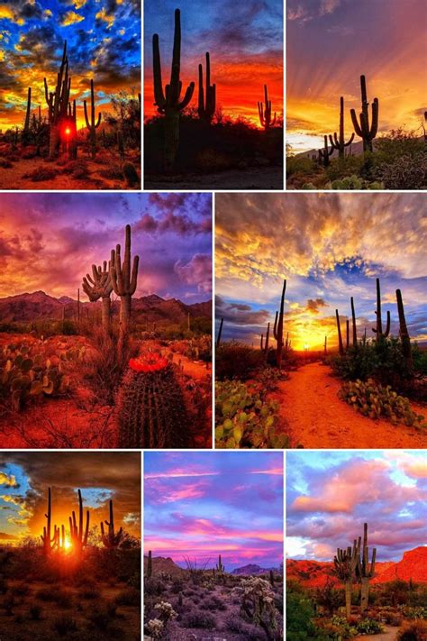 Brittany B Posted On Linkedin