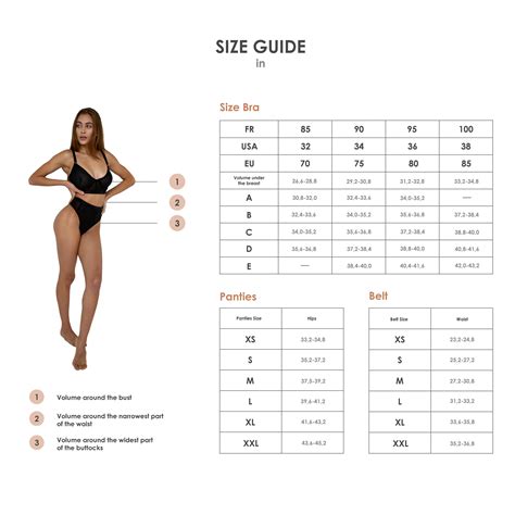 Mesh Lingerie Set Erotic Lingerie Plus Size Sheer Erotic Lingerie Sheer