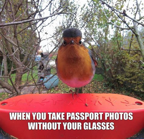 Best Passport Photo Ever Rmemes