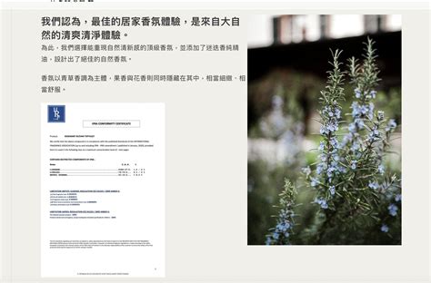 Duplicate Showing Different From Backend And Front Bugs Bricks Community Forum