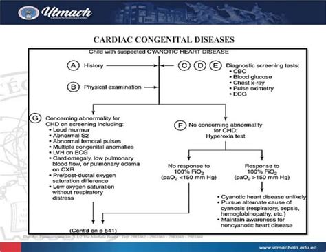 Cardiac Congenital Diseases Algorithm Docx