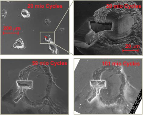 Defect Evolution On A Selected Defect Site After 20 50 And 100 Million Download Scientific