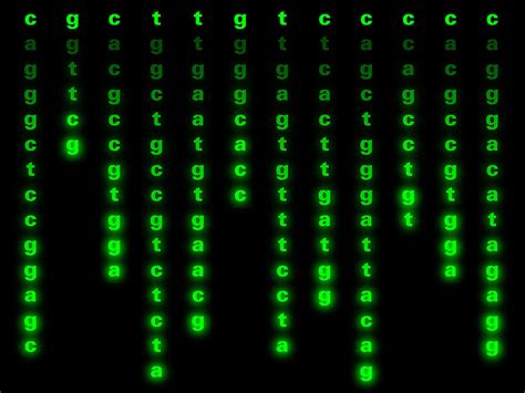 Genetic Sequence By Science Photo Library