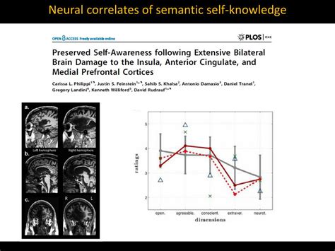 Ppt The Neural Basis Of Self Knowledge Powerpoint Presentation Free Download Id2063357