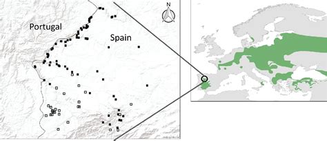 Figure 1 From Dynamic Multistate Occupancy Modeling To Evaluate