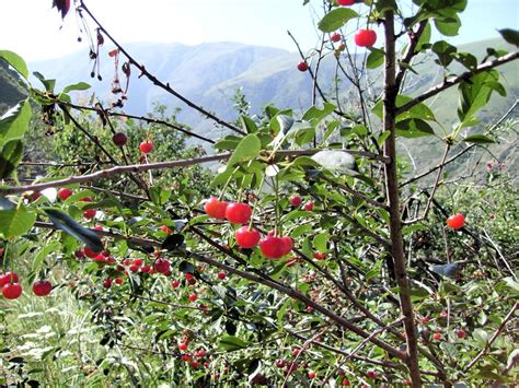 Архивы Кина