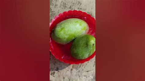 Kacha Am Recipe 😋🤤👌 Youtube