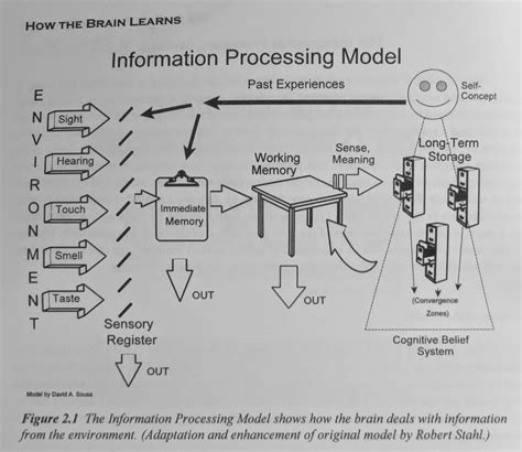 The Information Processing Model At Emaze Presentation