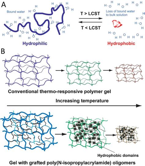 Schematic Of Smart Polymer Response To Temperature Reproduced With Download Scientific