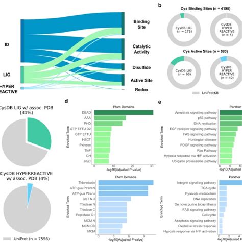 Cysteines With Available Ligandability Data A Overlap Between Cysdb