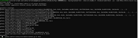 Bug Function Call Result Struct Gets Accessed Without Error Check