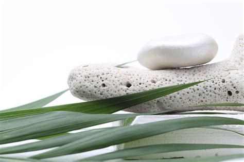 돌 플랫폼 연단 와 잎 통 회색 빛 복사 공간 배경 벽 최소한의 빈 디스플레이 제품 프레젠테이션 장면 0명에 대한 스톡 사진 및 기타 이미지 Istock