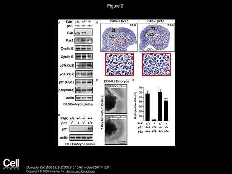 Volume 29 Issue 1 Pages 9 22 January 2008 Ppt Download