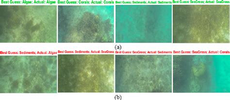 Figure 6 From Assessment Of Machine Learning Algorithms For Automatic Benthic Cover Monitoring
