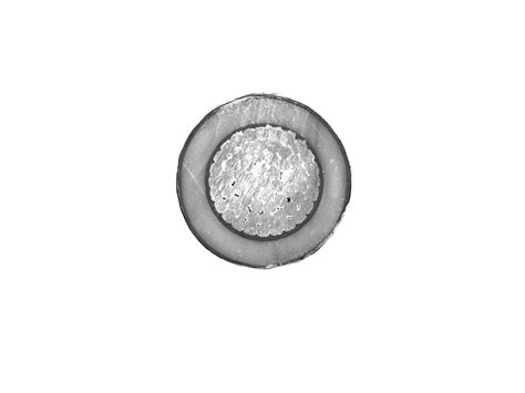 CableTest Object Detection Dataset By Ming Sun