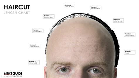 Hair Length Chart Men Inches