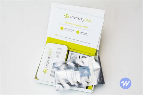 The Best DNA Ancestry Test Engadget