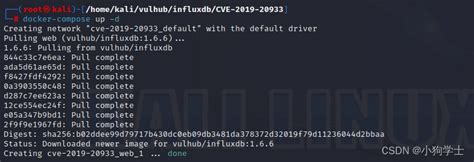 cve 2019 20933 influxdb未授权访问 vulhub csdn博客